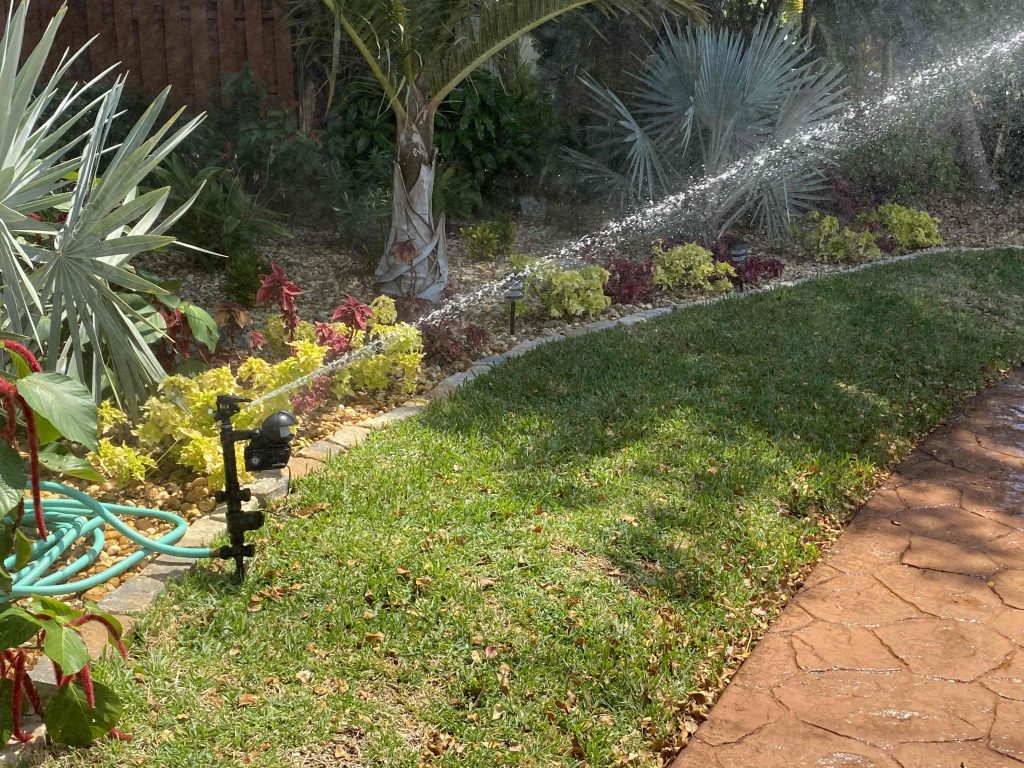 Iguana Control & Prevention Services