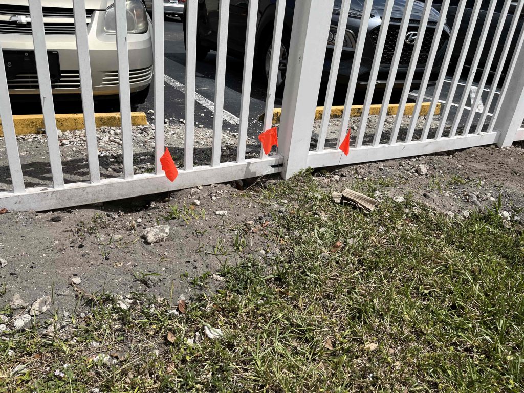 Iguana Control & Prevention Services