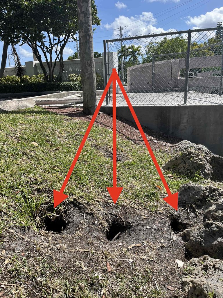 Iguana Control & Prevention Services