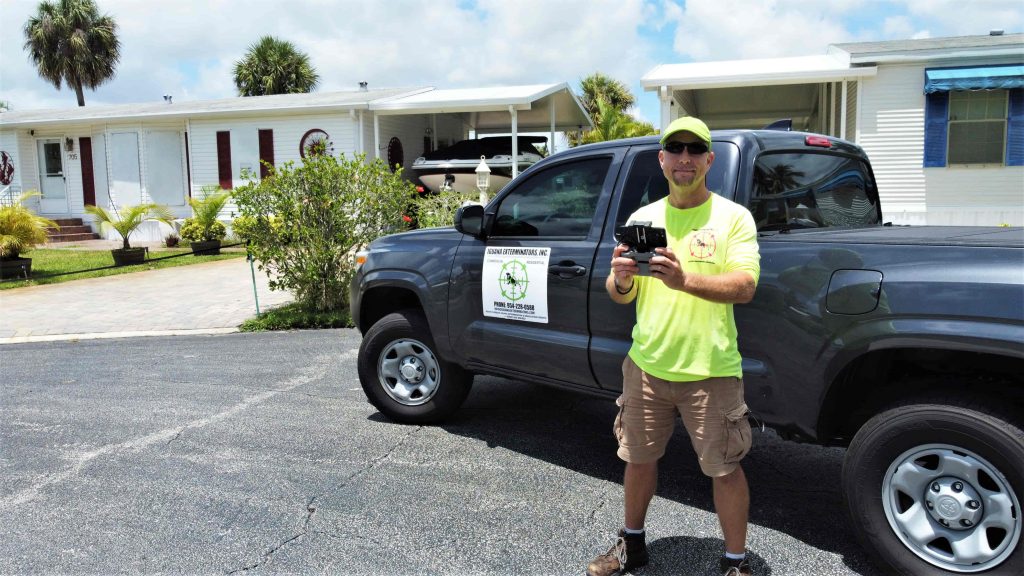 IGUANA CONTROL & PREVENTION SERVICES - Florida’s Iguana Extermination ...