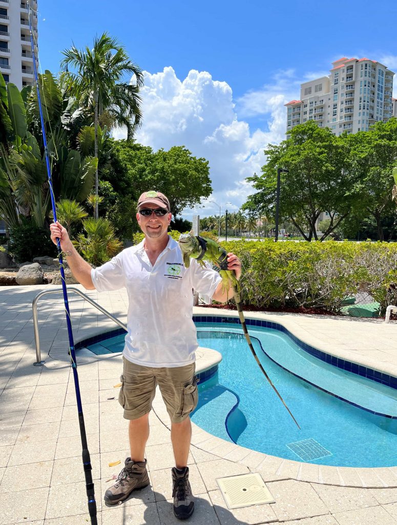 IGUANA TRAPPING SERVICES - South Florida