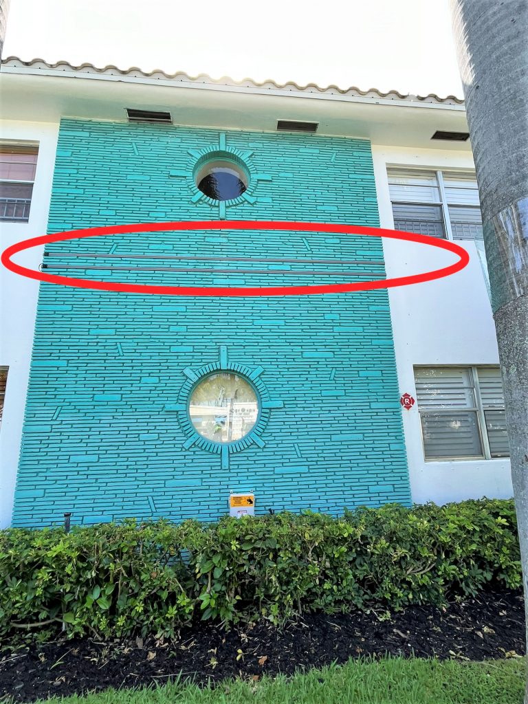 Iguana Control & Prevention Services