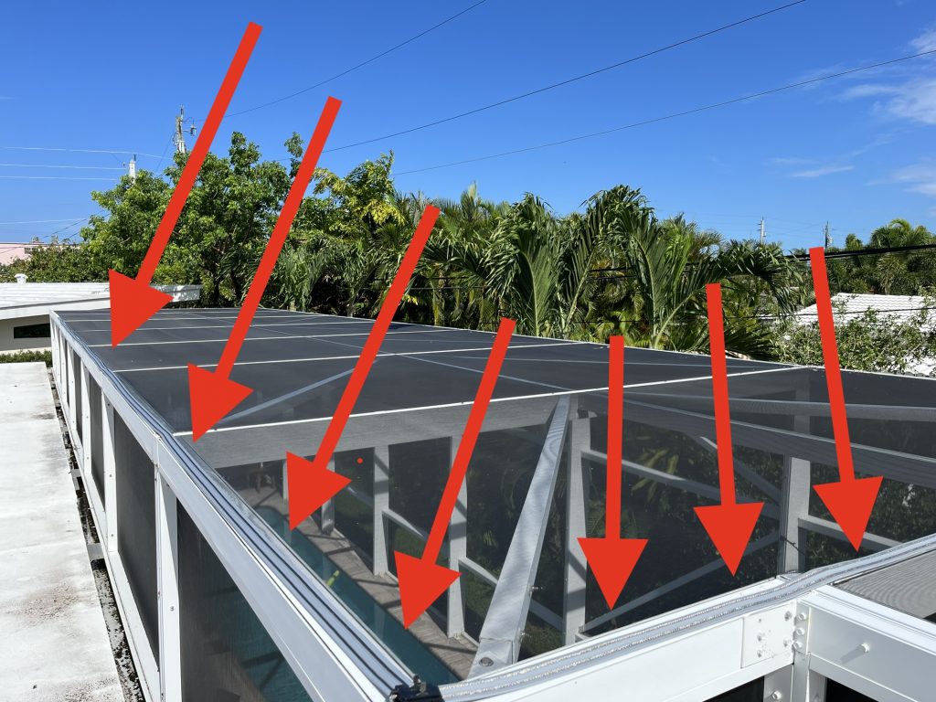 Iguana Control & Prevention Services